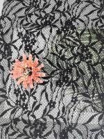China Black French Chantilly Lace Fabric Light Eyelash Lace Fabric With Scallop for sale