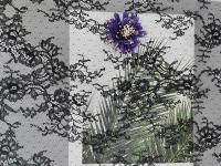 China 100% Nylon Flower Lace Fabric for sale