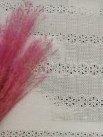 China Linear Broderie Embroidered Eyelet Fabric 100% Cotton Nightgown Fabric for sale