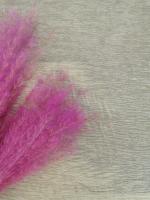 China Eco Friendly Recycled Lace Mesh Lyocell Stretch Fabric for sale