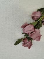 China Bubble Lace Knitted Ivory Crinkle Stretch Fabric for sale