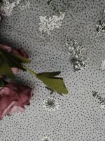 China Colored Foil Printed Embroidered Lace Fabric Shimmer Tulle for sale