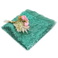 China 125cm Glitter Sparkly Sequin Embroidered Fabric For Party Dress for sale