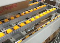 China FIFO Carton Flow Rack Corrosion Resistance First - In First - Out Garage Rackings for sale