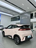 China ABS Equipped 75 HP Distributor Pure Electric Hatchback For Safe Urban Commuting for sale