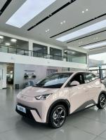 China ABS Equipped 75 HP Distributor Pure Electric Hatchback For Safe Urban Commuting for sale