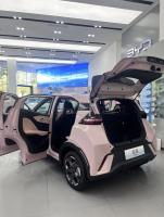 China ABS Equipped 75 HP Distributor Pure Electric Hatchback For Safe Urban Commuting for sale