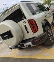 China Equation Leopard 5 Modern All-wheel Drive SUV Comes With A 5-seater Yunnan Deluxe Edition for sale