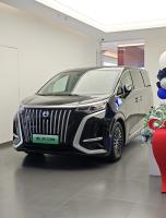 China Tengshi D9 2024 EV 620KM Premium 5-Door 7-seater MPV for sale