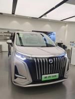 China Distributors Tengshi 2024 EV 600KM Four-wheel Drive Flagship 5-door 7-seater MPV for sale