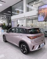 China 5 Door 5 Seater 2025 BYD EV Dolphin Car 401km Range SUV for sale