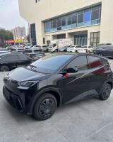 China 2025 305km Freedom Edition BYD New Energy Electric Vehicle Seagull 4 Seaters for sale