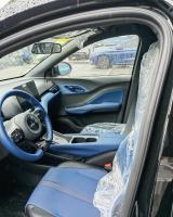 China 2025 305km Freedom Edition BYD New Energy Electric Vehicle Seagull 4 Seaters for sale