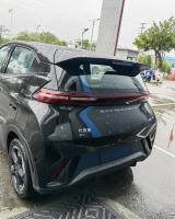 China 2025 305km Freedom Edition BYD New Energy Electric Vehicle Seagull 4 Seaters for sale
