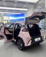 China 2025 BYD Seagull 405km Flying Edition Small Family Electric Car Five-door Four-seat Hatchback for sale