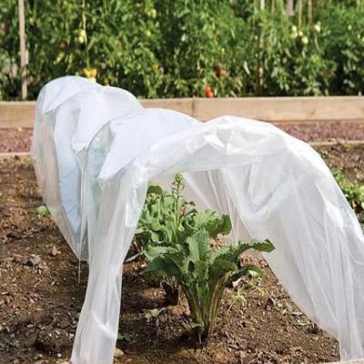 China PP Nonwoven Fabric Agriculture Use for Protect Frost High Quality for sale