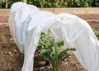 China 100% PP Environmentally Friendly Non-Woven Fabric For Agricultural Mulching for sale