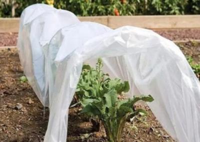 China 100% PP Environmentally Friendly Non-Woven Fabric For Agricultural Mulching for sale