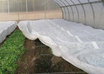 China Non Woven Fabric for Modern Agriculture 100-600mm Width 0.5-1.5mm Thickness for sale