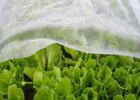 China Durable Hydrophilic PP Non Woven Anti Insect Warmth Light Transmission For Agricultural for sale