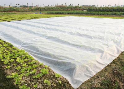 China Spunbond PP Polypropylene Agricultural Crop Cover Extra Wide Nonwoven Fabric for sale