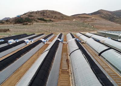 China Agricultural Weed Control Cloth Supplier Or Manufacturer Or Factory for sale