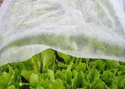 China PP Nonwoven Fabrics Anti-frostbite Insect prevention for Agricultrural for sale