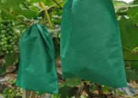China Nonwoven Cover Bags for Premium Protection for Banana Cultivation for sale