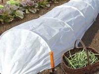 China Keep Warm Agricultural Nonwoven Fabric Inhibit Weed Growth Winter for sale