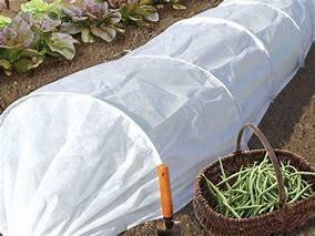 China Keep Warm Agricultural Nonwoven Fabric Inhibit Weed Growth Winter for sale