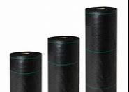 China Water Repellent, Anti-bird PP Nonwoven Fabrics For Agricultural Cloth for sale