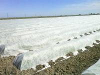 China Cold - proof , Insect - proof, Heat - insulating Nonwoven Fabrics for Agriculture for sale