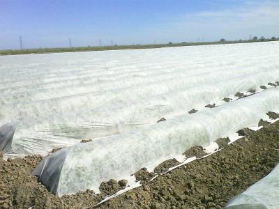 China Cold - proof , Insect - proof, Heat - insulating Nonwoven Fabrics for Agriculture for sale