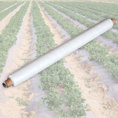 China Agricultural Nonwoven Fabric , SMS , PP , PET , Anti-cold Anti-UV Anti-aging for sale