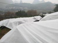 China Cold-proof Agricultural Nonwoven Good Breathability Superior Thermal Insulation Cultivation Bag for sale