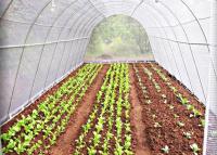 China Cold-proof Agricultural Nonwoven Good Breathability Superior Thermal Insulation Cultivation Bag for sale
