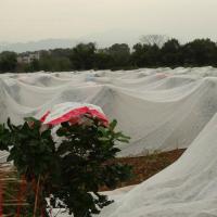 China Thermal Insulation Agricultural Nonwoven Seeding Cultivation Water-Saving Weed Control for sale