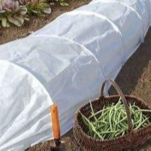 China For Planting Crops Use Agricultural Nonwoven China Factory Direct Supply Export for sale