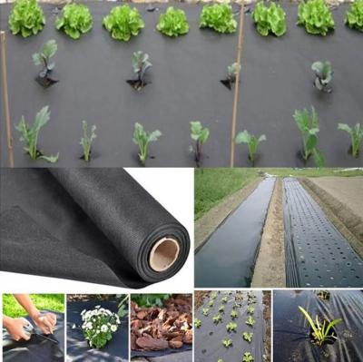 China Vegetable Agriculture Nonwoven Fabric Anti - frost Fruit Bag Winter Protect Use Nonwoven for sale