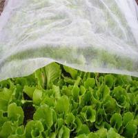 China Durable Farm Frost - Resistant Agriculturer Nonwovens for Greenhouse & Field Use for sale