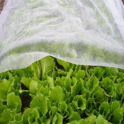 China Durable Farm Frost - Resistant Agriculturer Nonwovens for Greenhouse & Field Use for sale