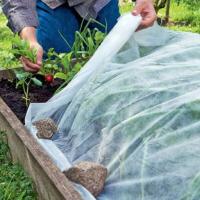 China Cultivated Bag PP Agricutural Nonwoven Anti - Cold Anti - Frost Nonwoven Direct Supply for sale