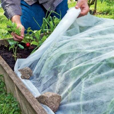 China Cultivated Bag PP Agricutural Nonwoven Anti - Cold Anti - Frost Nonwoven Direct Supply for sale