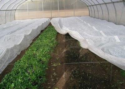 China Anti-frost Agriculture Nonwoven PP SMS for Protection Plant Fruit Trees Nonwoven for sale