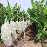 China Breathable Nonwoven Fruit Cover Bags Agricultural Nonwoven For Banana And Grape Protection for sale