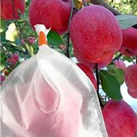 China Anti UV Agricultural Nonwoven PP Hydrophobic Fruit Bag Protective For Apple Banana for sale