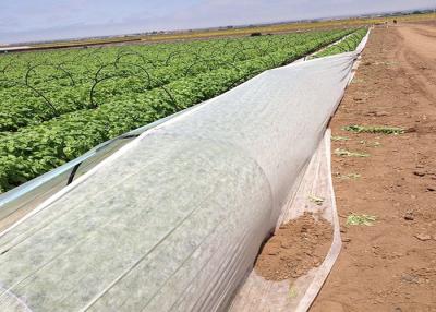 China UV Resistant Non Woven Polypropylene Fabric Hydrophilic Against Grass Frostproof for sale
