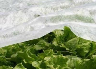 China Degradable Agriculture Non Woven Fabric 20gsm - 100gsm For Root Bags for sale