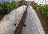 China Environmentally Friendly PP Nonwoven Fabric Degradable For Agricultural for sale