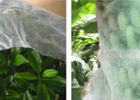 China High Tensible , Durable PP Spunbond Nonwoven for Agricultural Textile for sale